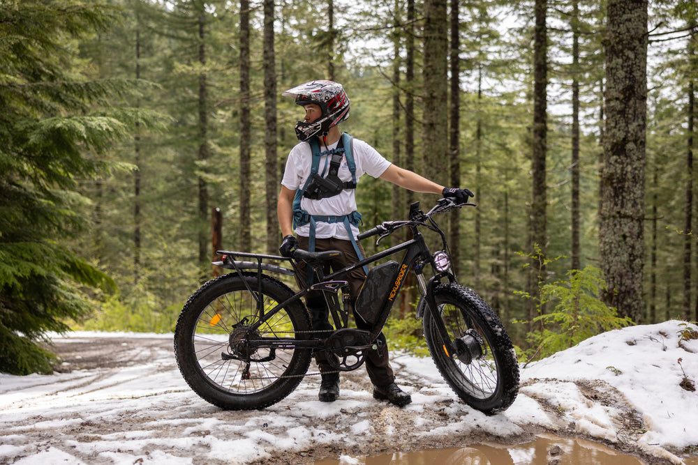 All Electric Bikes | SMLRO Dual Motor eBikes for Every Rider – Smlro Ebike Official