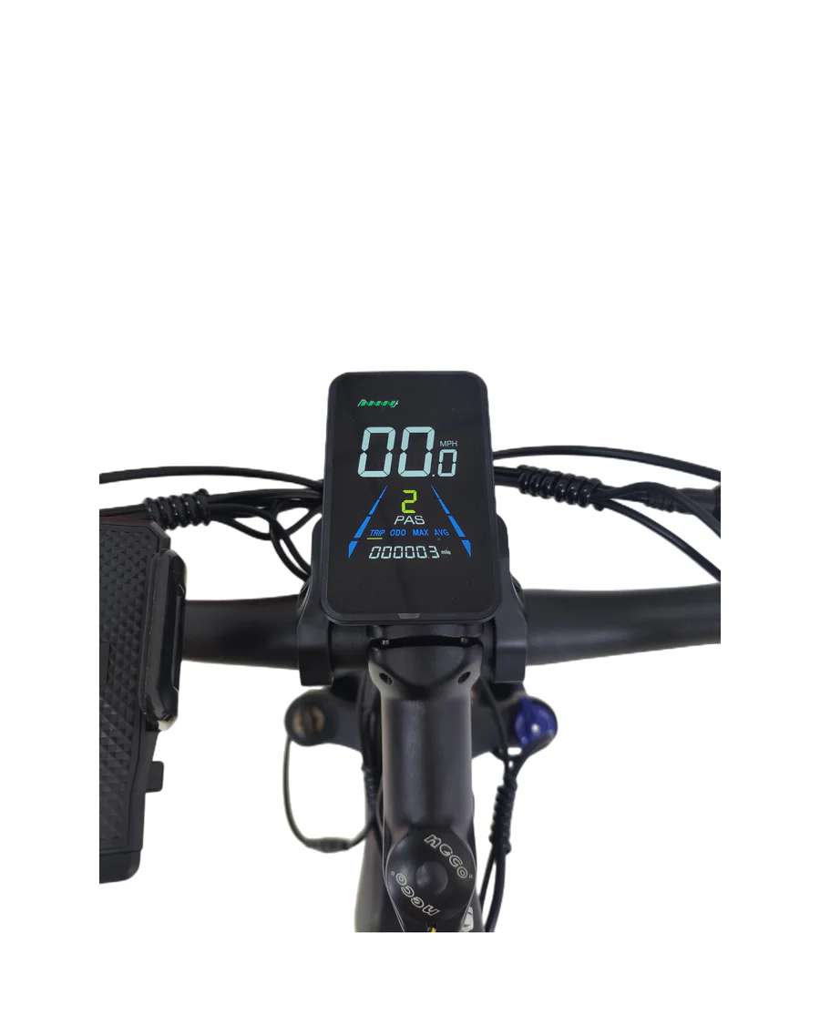 SMLRO Ebike Display Screen/ LCD Meter (Compatible with PHILODO ZEEGR D ...